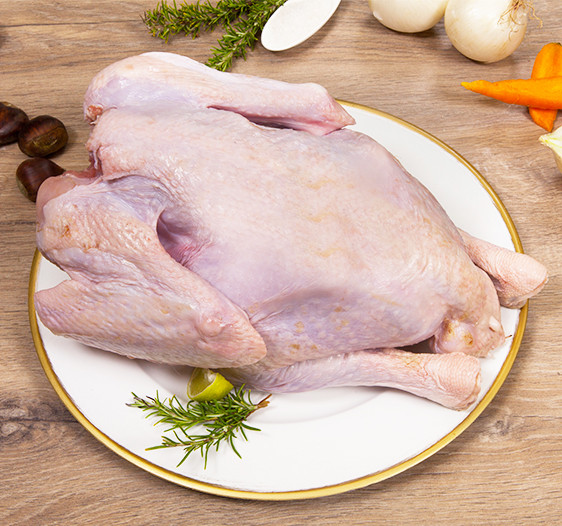 Pavo entero pequeño 4.6 kg - 5 Océanos